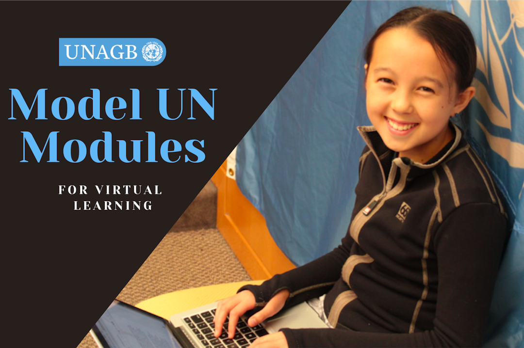 Model UN Modules | United Nations Association of Greater Boston